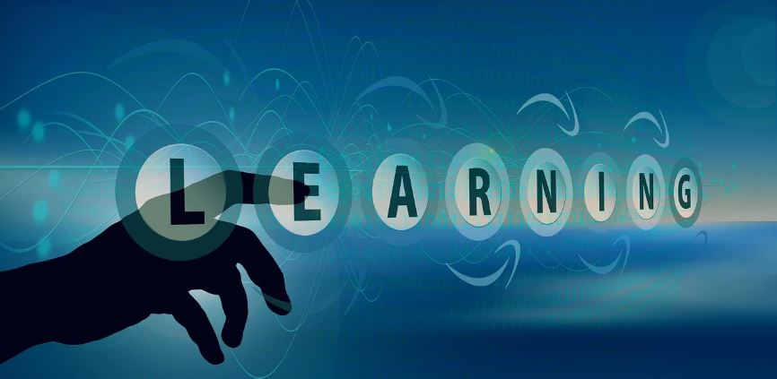 Learn at Home - Saint Louis Aquarium Foundation